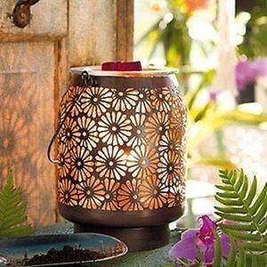 Scentsy | Accents | Daisy Lantern Scentsy Warmer New In Box | Poshmark